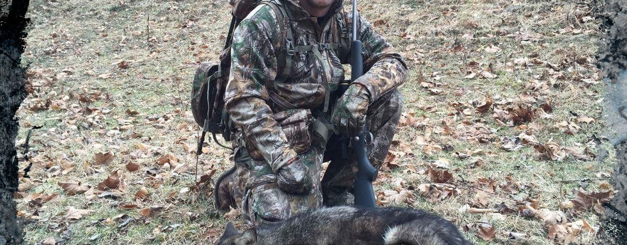 Hunting with an AR for Color Phase Coyotes | Wired Outdoors