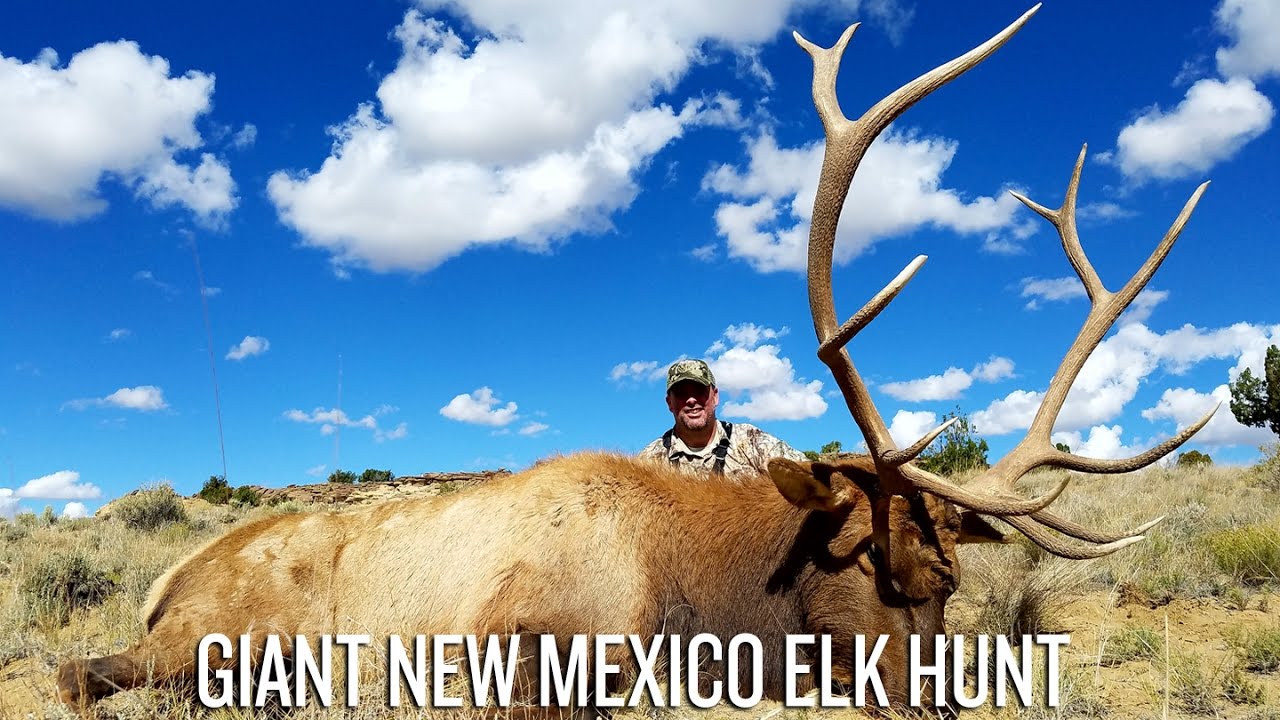 Handicapped/Wounded Veteran Hunts – Wired Outdoors