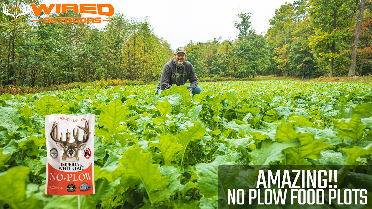 Food Plots - Wired Outdoors