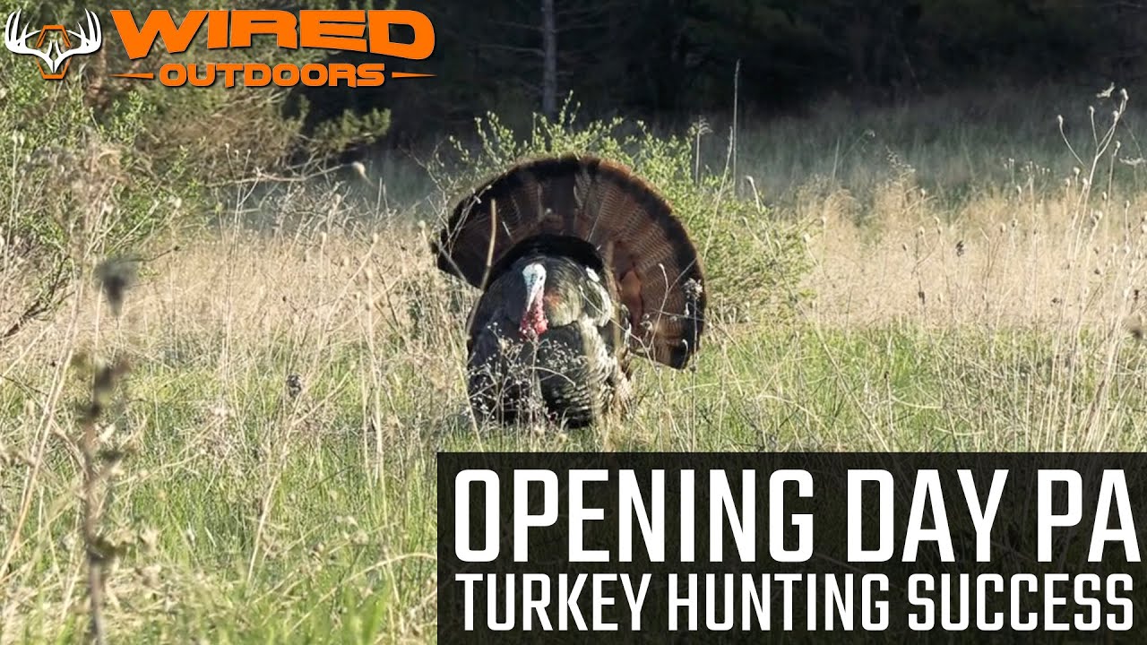 Pa Turkey Hunting Firearm Regulations at George Hodge blog