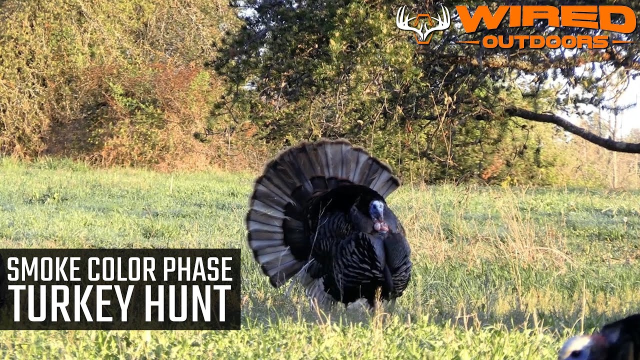 2022 PA Turkey Hunting With A Flintlock Muzzleloader - Wired Outdoors